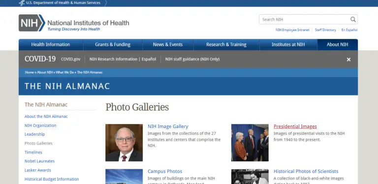 Top 9 Websites to Download Medical Image Datasets for Free - iLovePhD